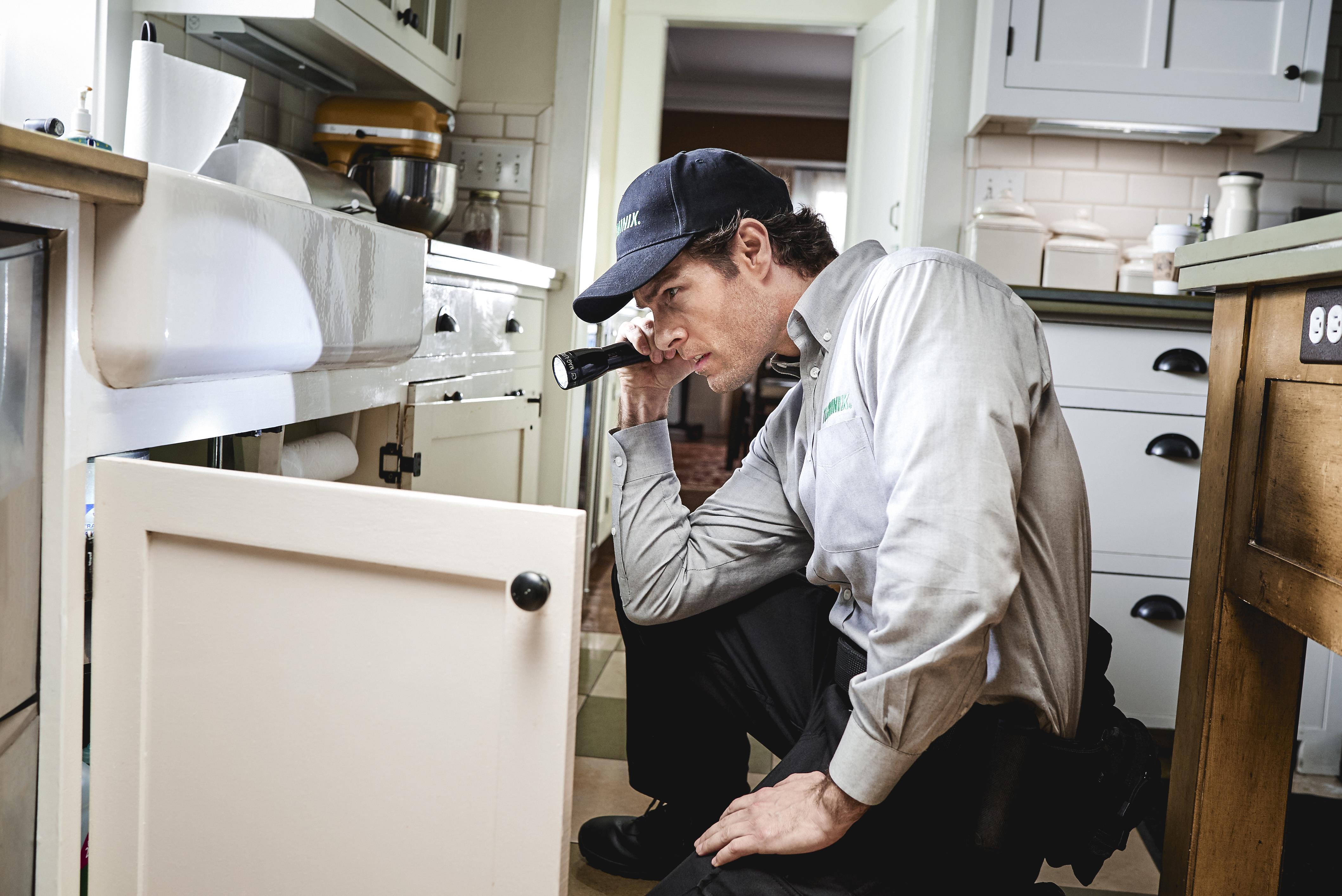 Places Pests Are Hiding In Your Home | Chattanooga Home Inspector